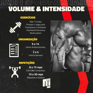 Treino de Triceps - Guia completo para Hipertrofia (2024)